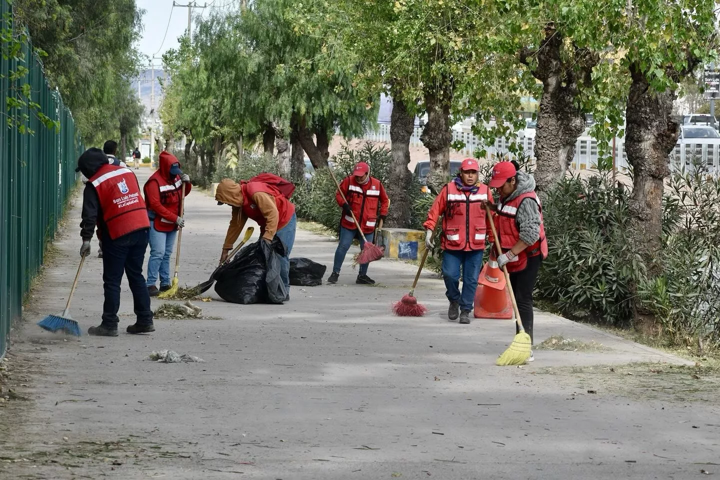 Rehabilitación integral de Salvador Nava incluye limpieza y ...